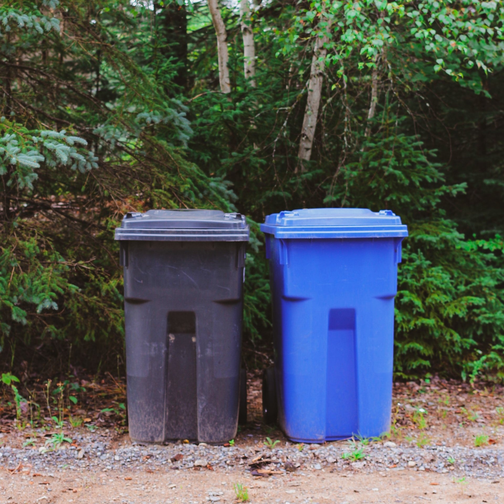 How to Sort Your Trash: What Goes Where? – Peko