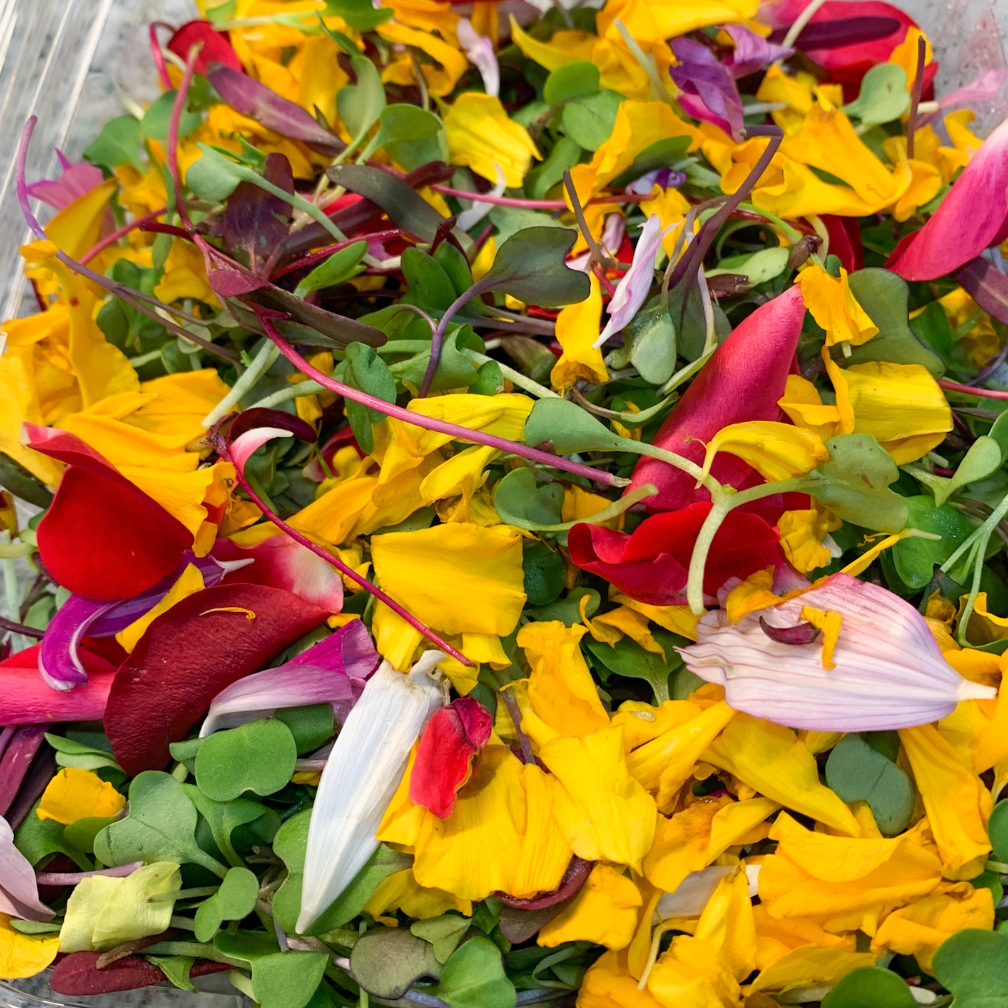 Micro Chef's Blend – Peko